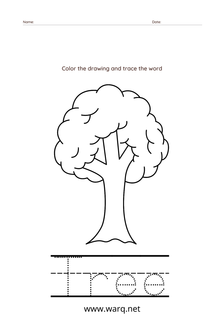 Color And Trace Alphabet Worksheet - منصة ورق التعليمية