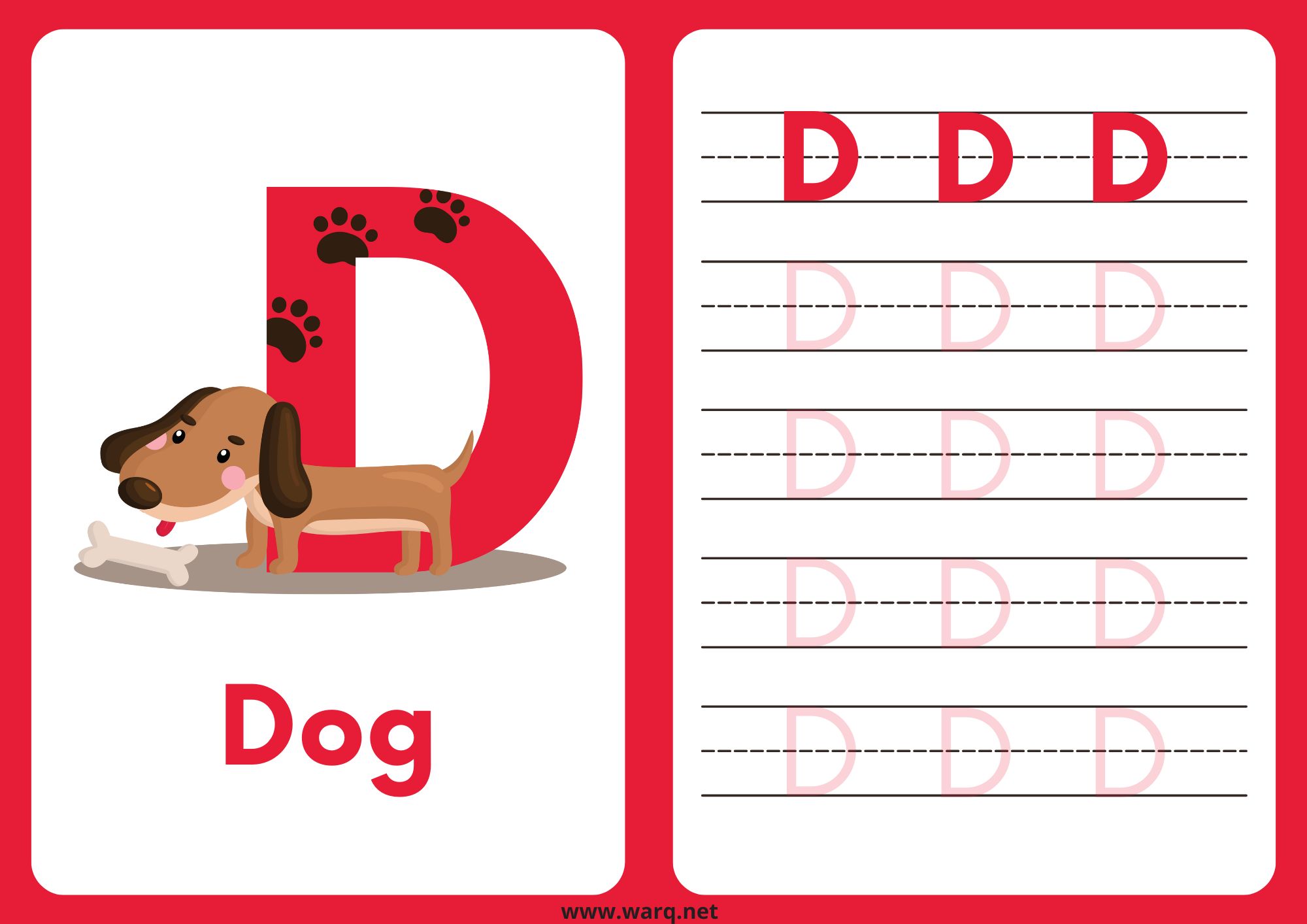 سلسلة الحروف الإنجليزية letter D - منصة ورق التعليمية